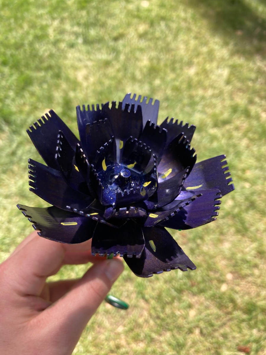 Cupid’s Dart Flowers | Nova Grayson Casillo